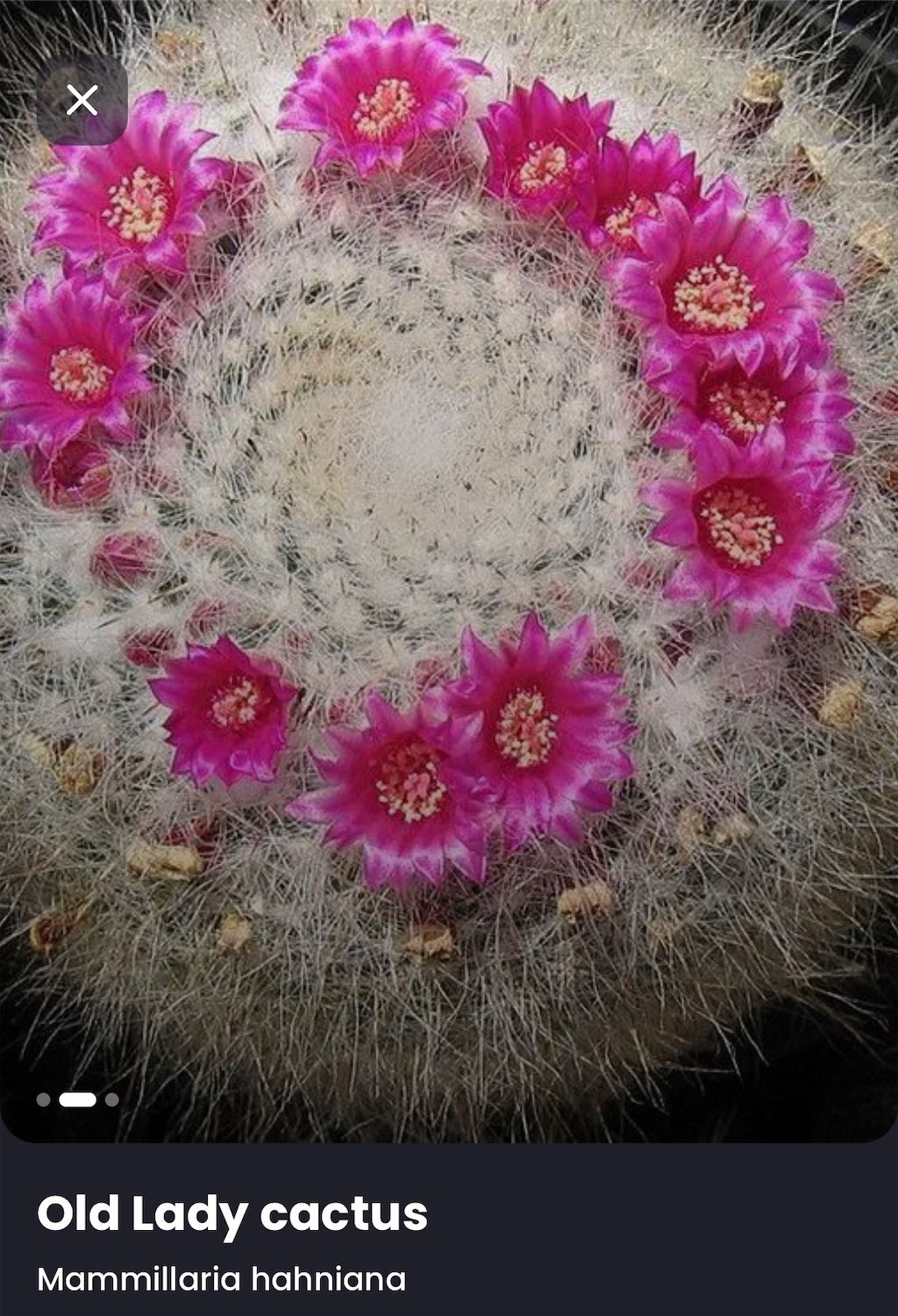 how to identify plant from eu plant passport?